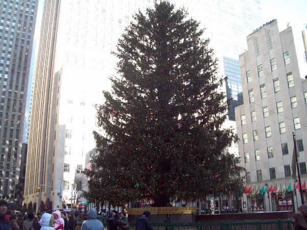 The Tree at Rockefeller Center